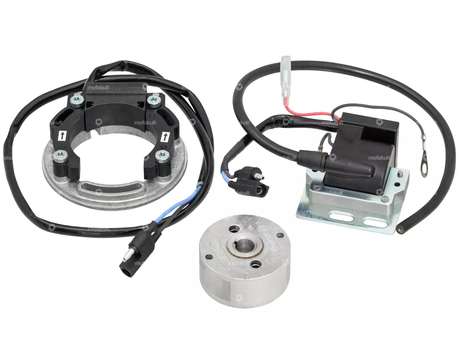 PVL Allumage par rotor interne, rotation à droite sans clavette | mofakult